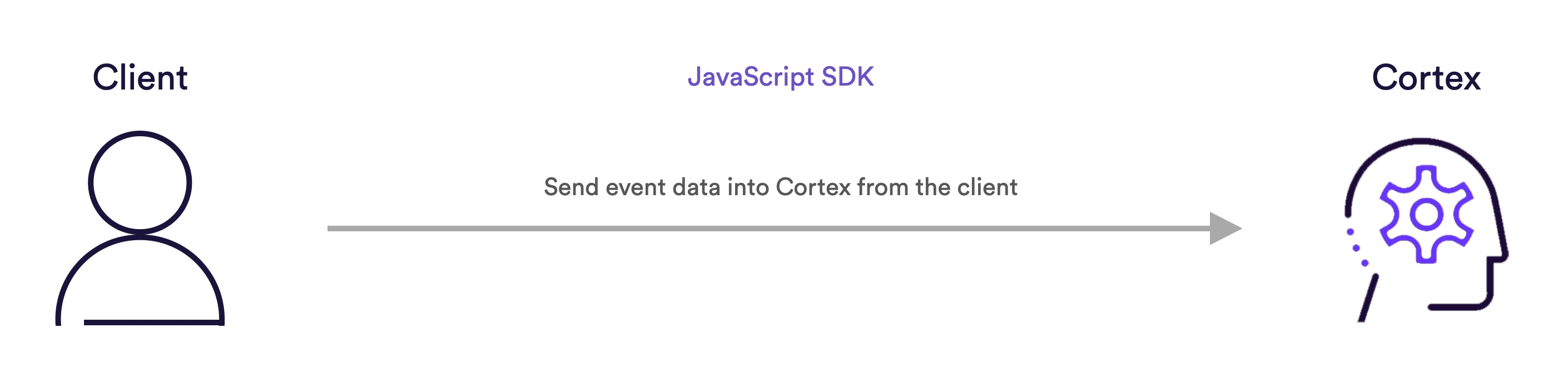 Overview Of Cortex Apis Vidora