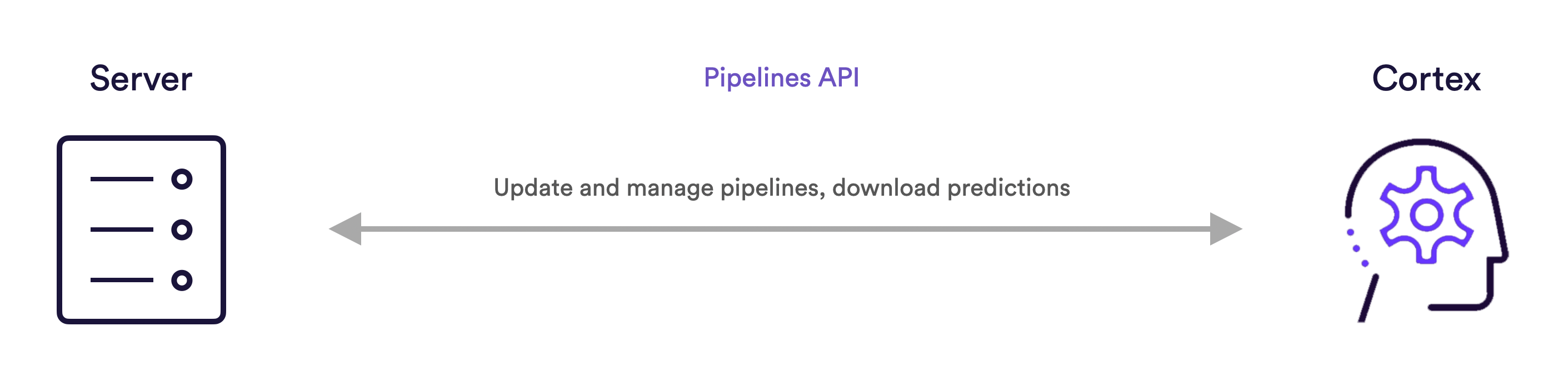 Overview Of Cortex Apis Vidora