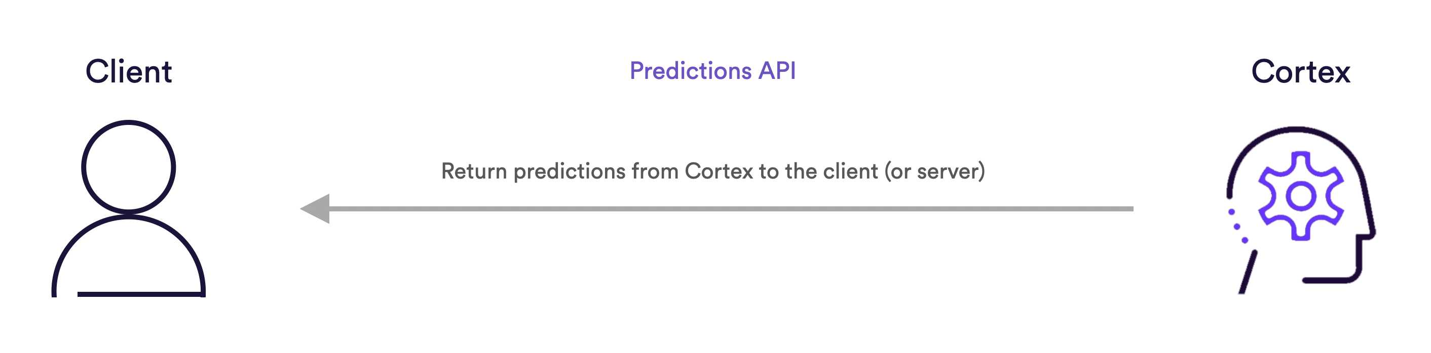Overview Of Cortex Apis Vidora