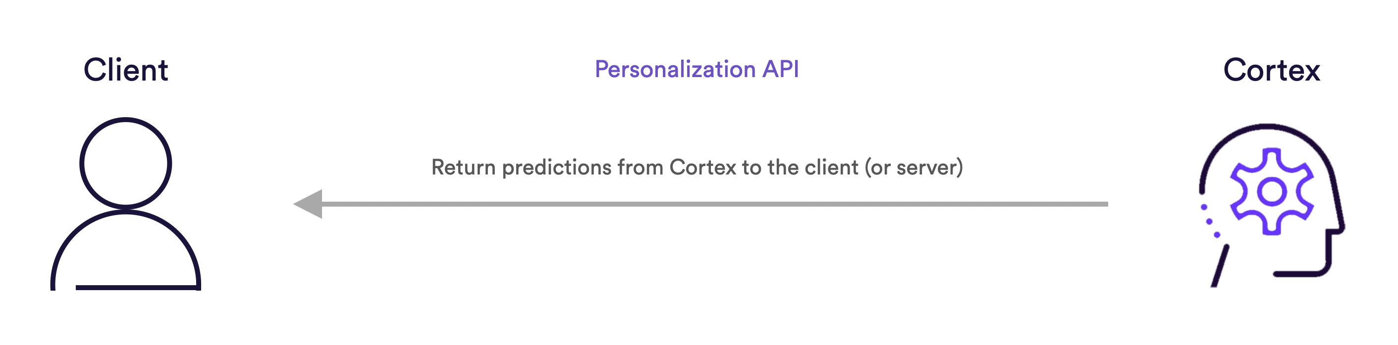 Overview Of Cortex Apis Vidora