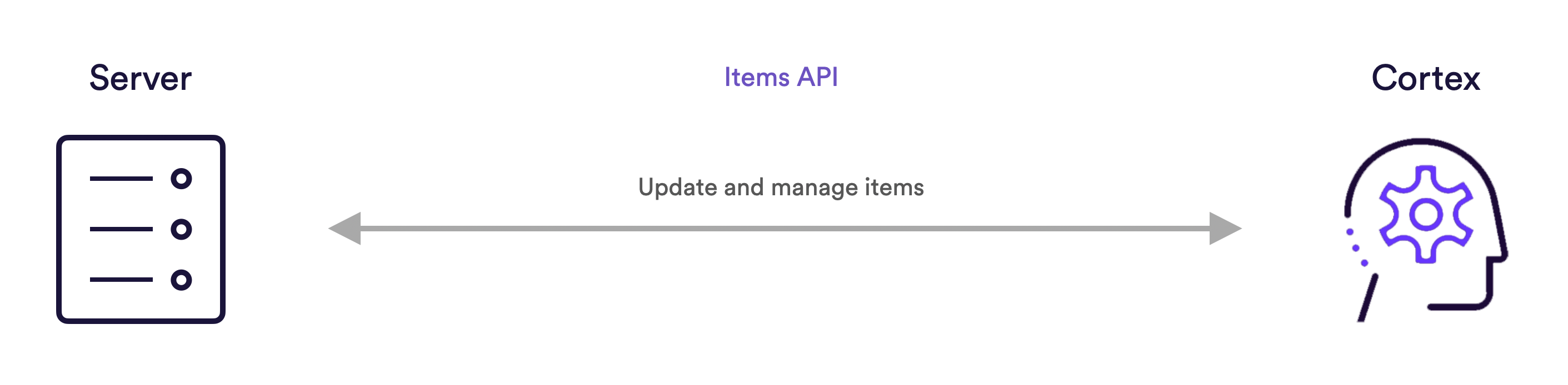 Overview Of Cortex Apis Vidora