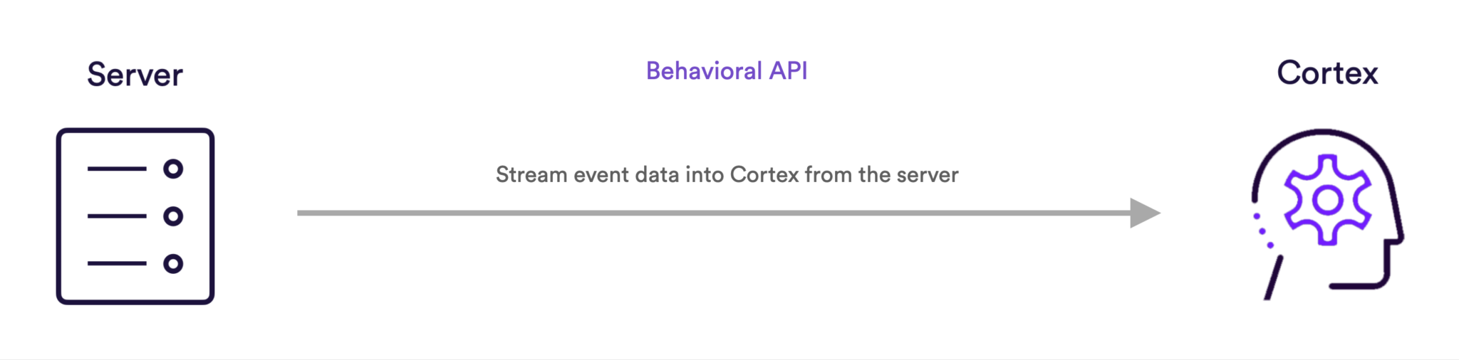 Overview Of Cortex Apis Vidora